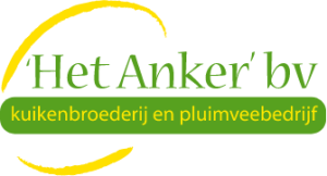 Debre Berhan - Ethiopia Poultry